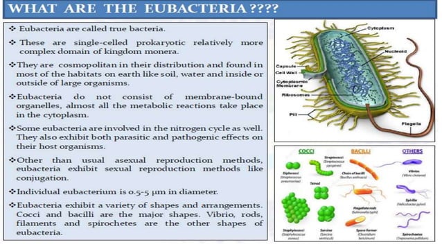 Evolutionary tendencies of bacteria.pptx