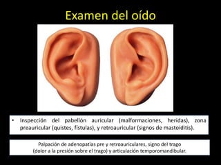 7 examen del oido (Otorrinolaringologia) | PPTX