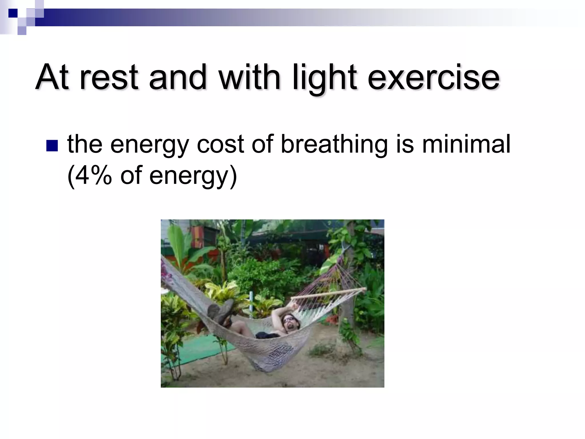 7@ exercise and respiration | PPT