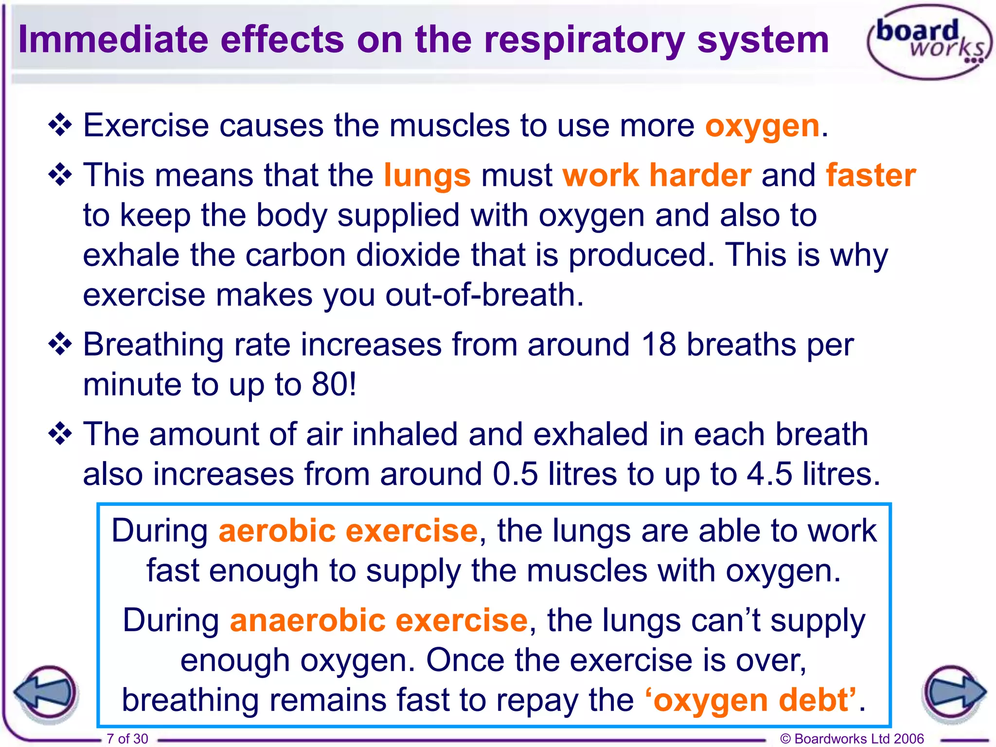 7@ exercise and respiration | PPT