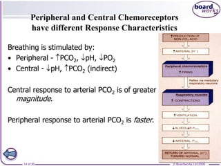 7@ exercise and respiration | PPT | Lung and Respiratory Health ...