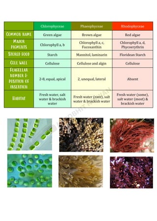 Plant_Kingdom_Shobhit_Nirwan.pdf class 11th biology. | PDF