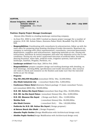 Wael CV Latest1 | DOC