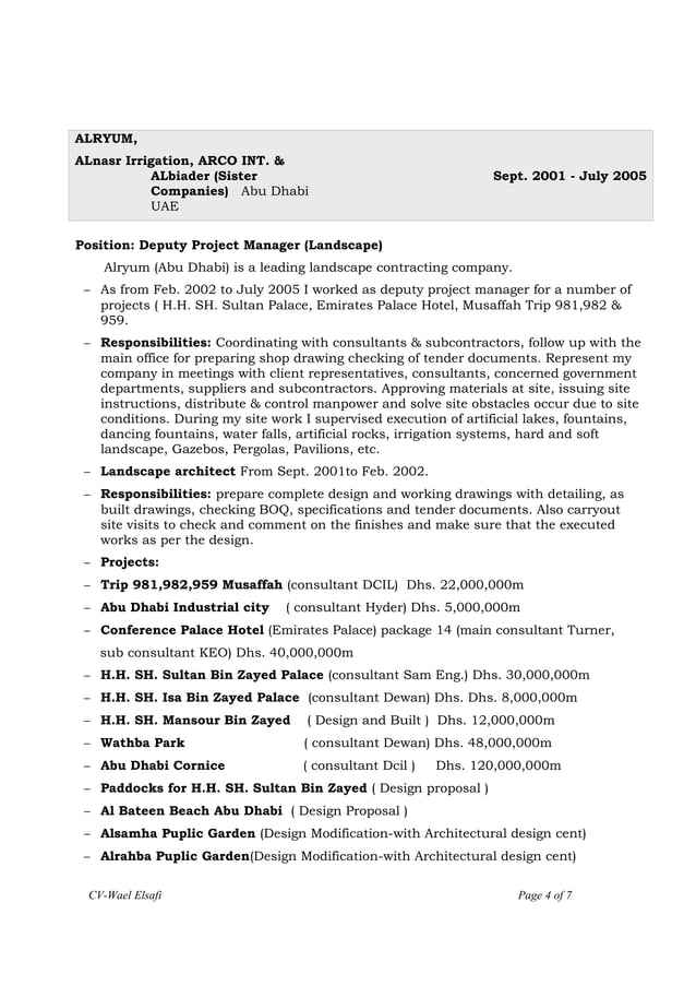 Wael CV Latest1 | PDF