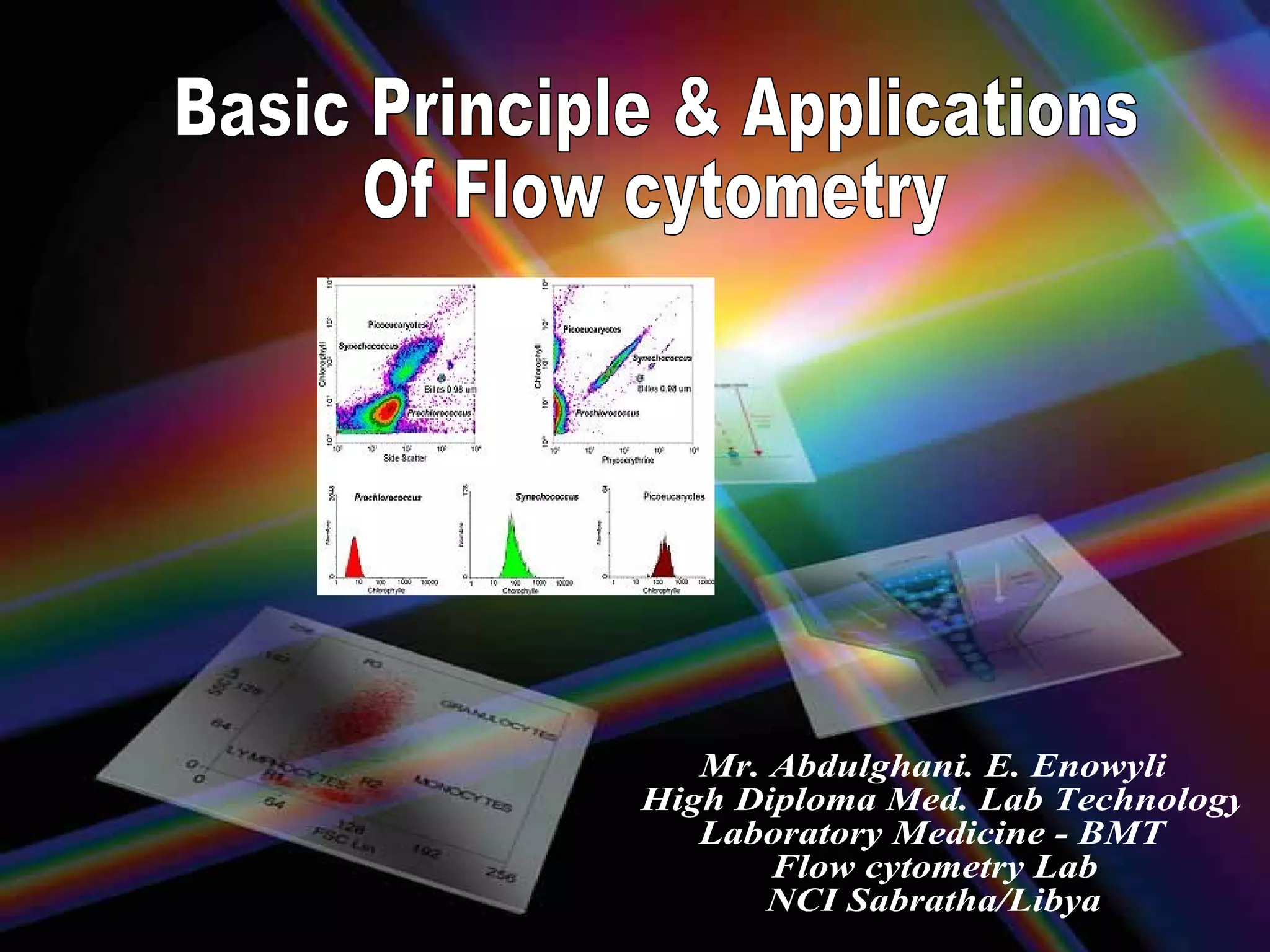 FlowBasics2[1] | PPT