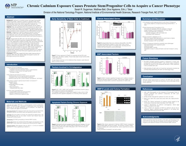 SIP Poster - Sarah Sugarman | PPTX