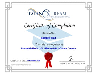 Excel certificate | PDF