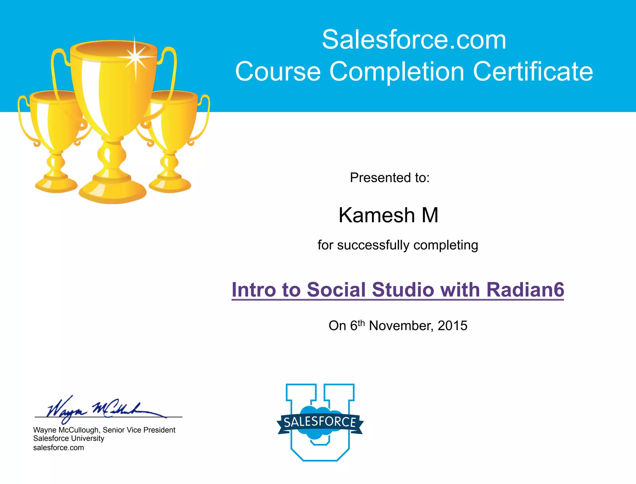 SS-101 Completion Certificate-Kamesh M | PDF | Computing | Technology & Computing