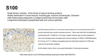 IHC Markers and Antibodies | PPTX
