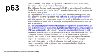 IHC Markers and Antibodies | PPTX