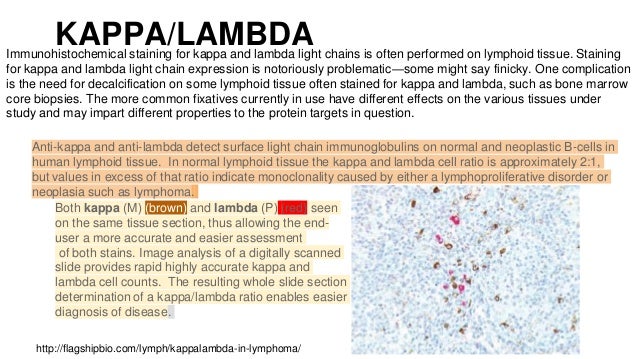 IHC Markers and Antibodies