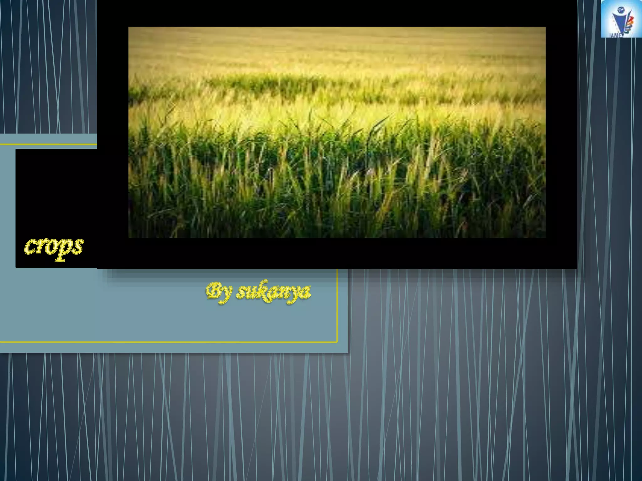 crops ppt | PPTX