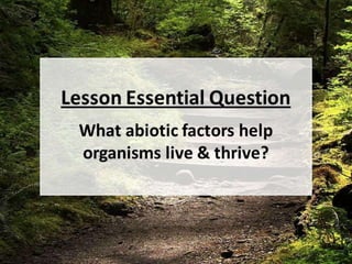 Introduction to Ecology | PPT