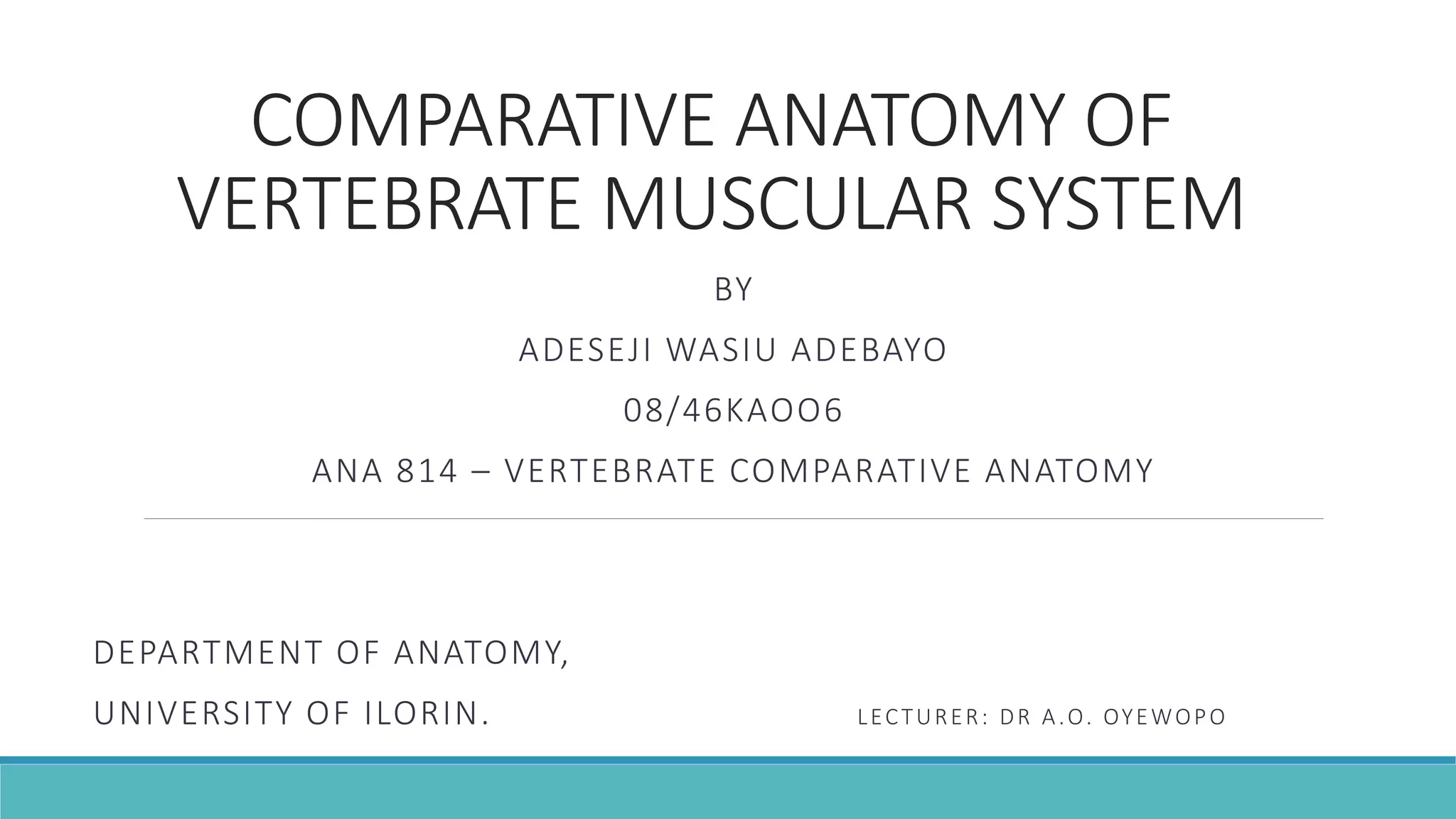 VERTEBRATE COMPARATIVE ANATOMY OF MUSCULAR SYSTEM | PPTX