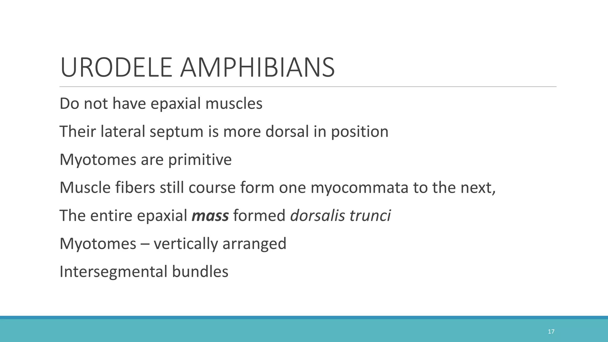 VERTEBRATE COMPARATIVE ANATOMY OF MUSCULAR SYSTEM | PPTX