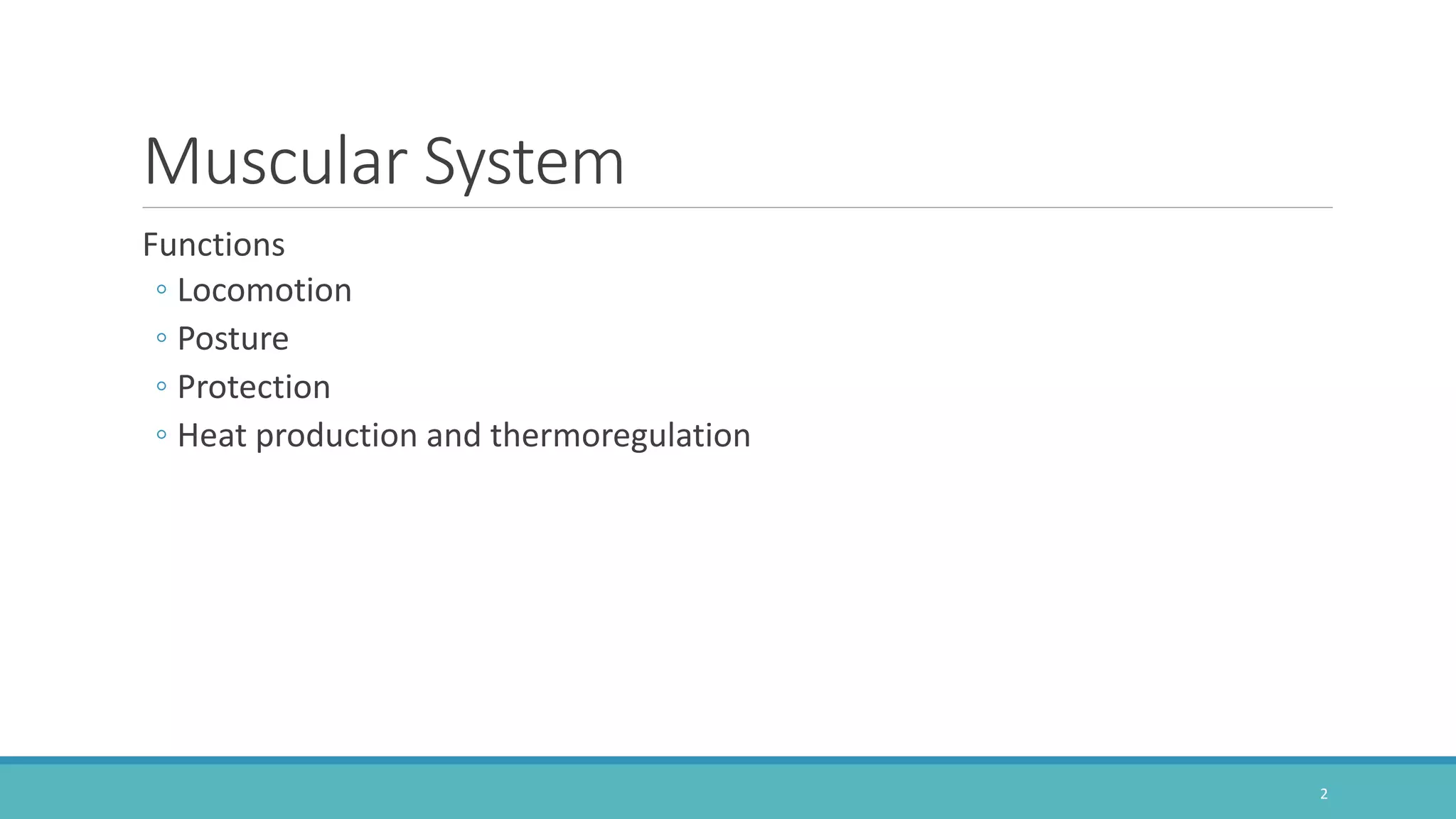 VERTEBRATE COMPARATIVE ANATOMY OF MUSCULAR SYSTEM | PPTX