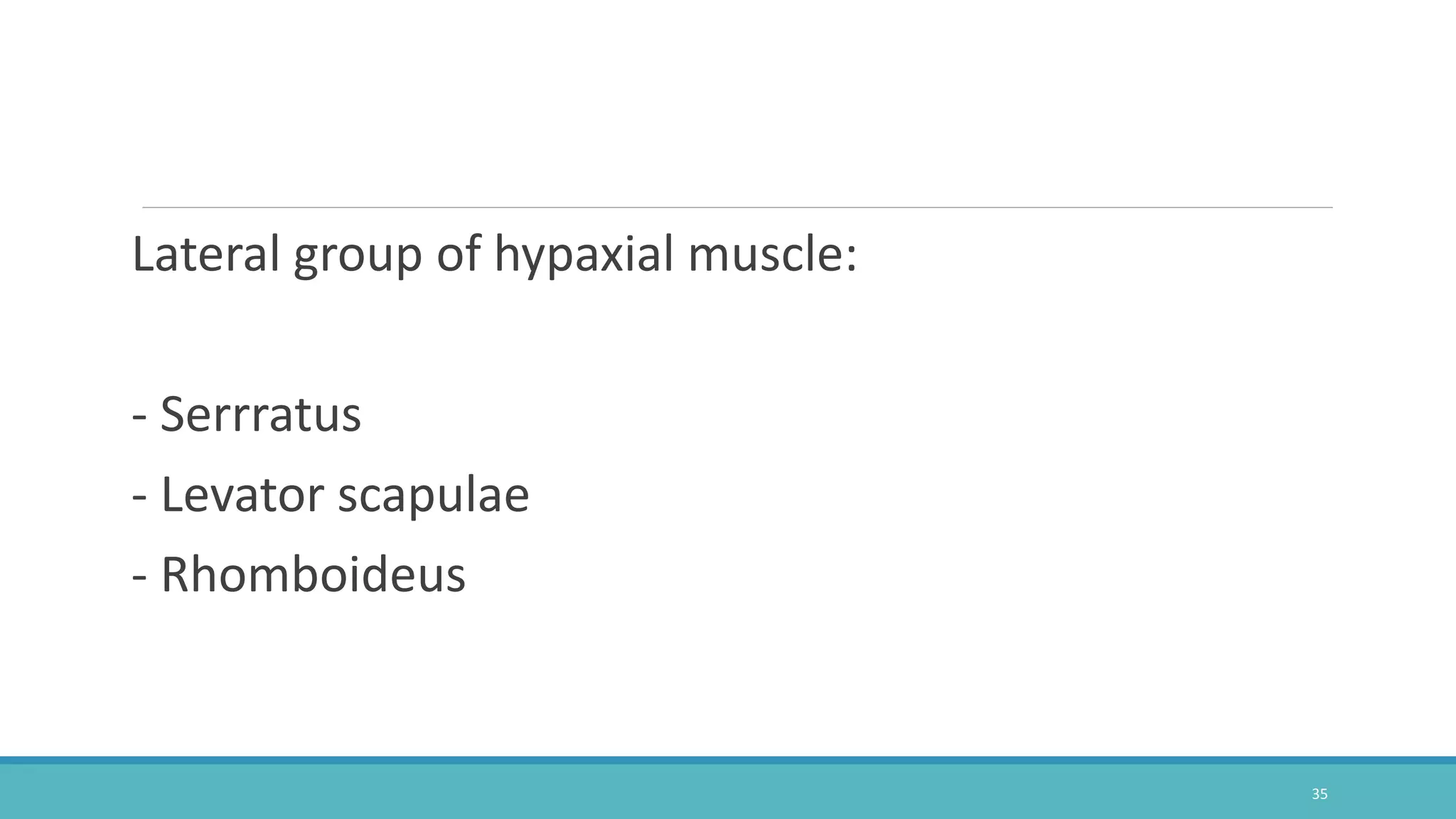 VERTEBRATE COMPARATIVE ANATOMY OF MUSCULAR SYSTEM | PPTX