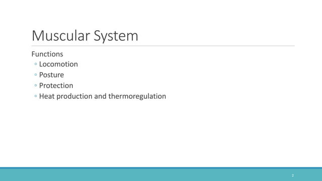 VERTEBRATE COMPARATIVE ANATOMY OF MUSCULAR SYSTEM | PPTX