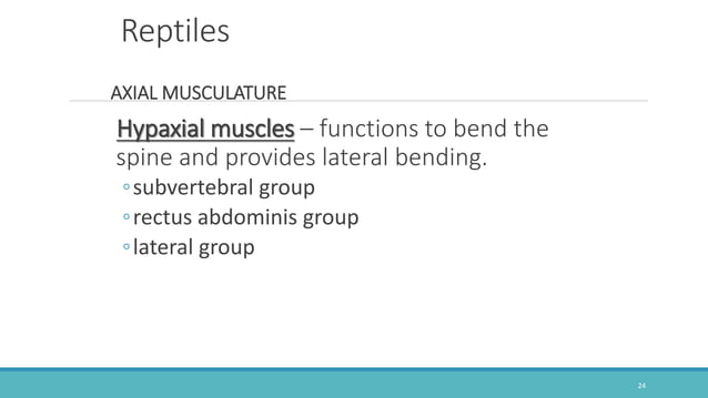 VERTEBRATE COMPARATIVE ANATOMY OF MUSCULAR SYSTEM | PPTX