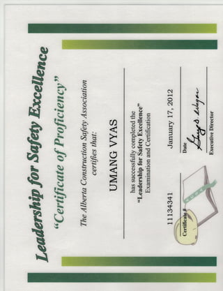 Leadership for Safety Excellence_UV | PDF