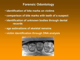 7 f forensic anthropology and odontology 07 (student) | PPT