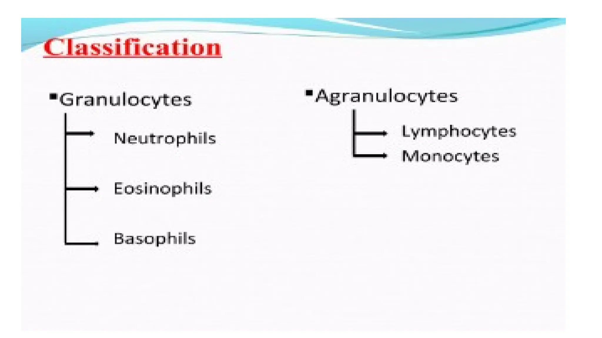 DPT - Physiology - II (Blood Physiology) Function production and types ...