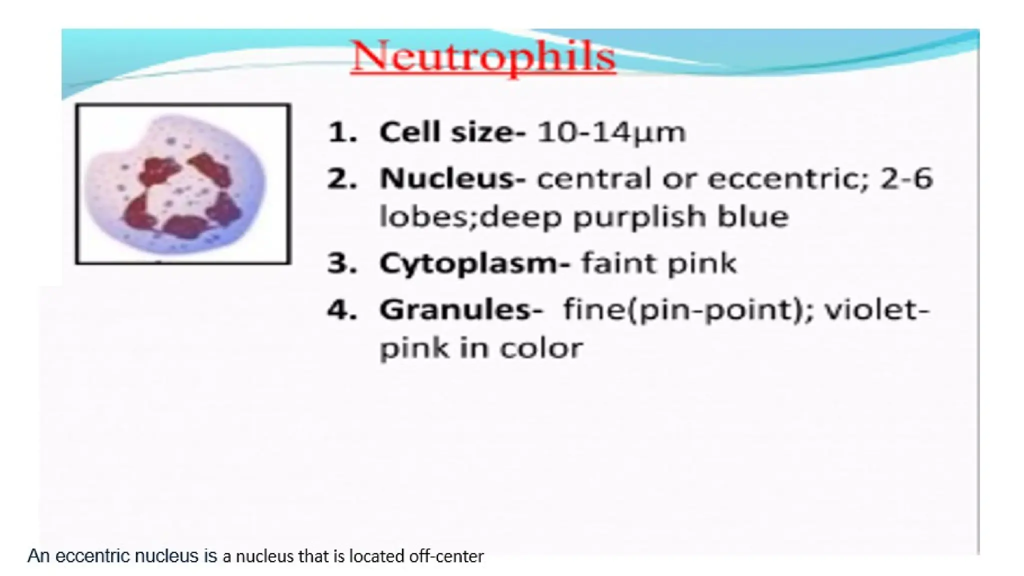 DPT - Physiology - II (Blood Physiology) Function production and types ...