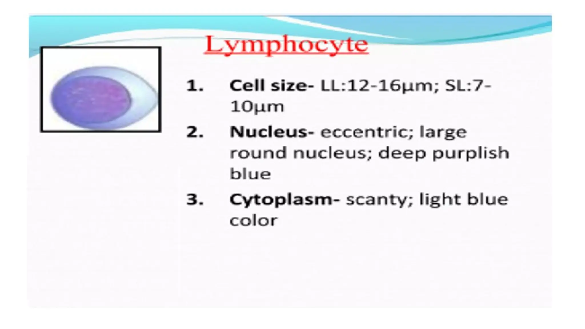 DPT - Physiology - II (Blood Physiology) Function production and types ...