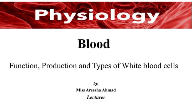 DPT - Physiology - II (Blood Physiology) Function production and types ...