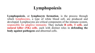 DPT - Physiology - II (Blood Physiology) Function production and types ...