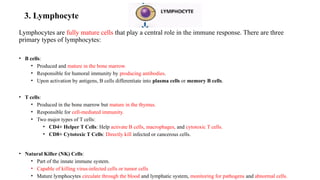 DPT - Physiology - II (Blood Physiology) Function production and types ...