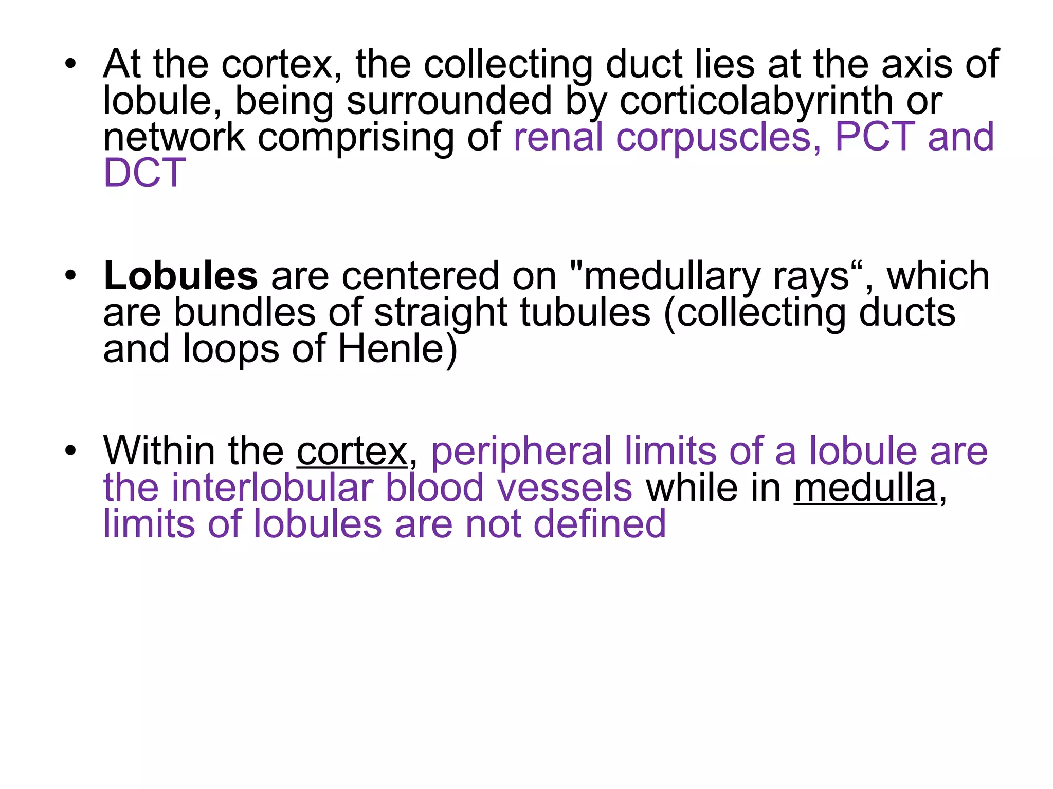 Lecture urinary system histology | PPT