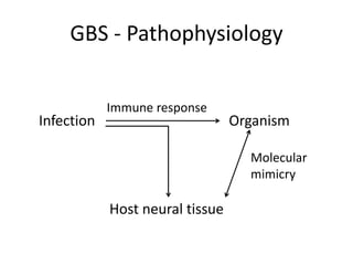 7 GBS ERPM n.pptx gulilan baree syndrome | PPTX | Infectious Diseases ...