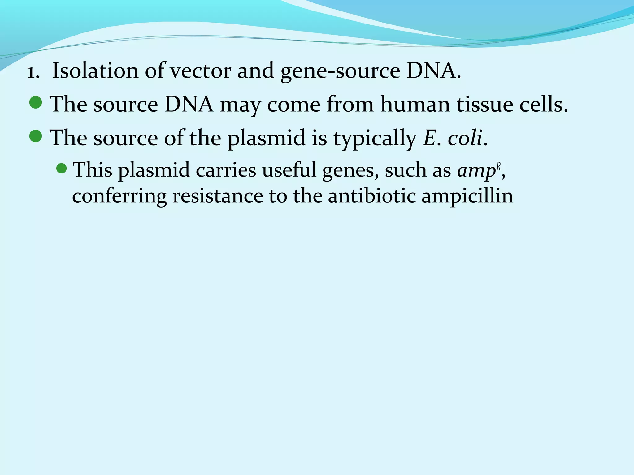 gene cloning principles an technique | PPT