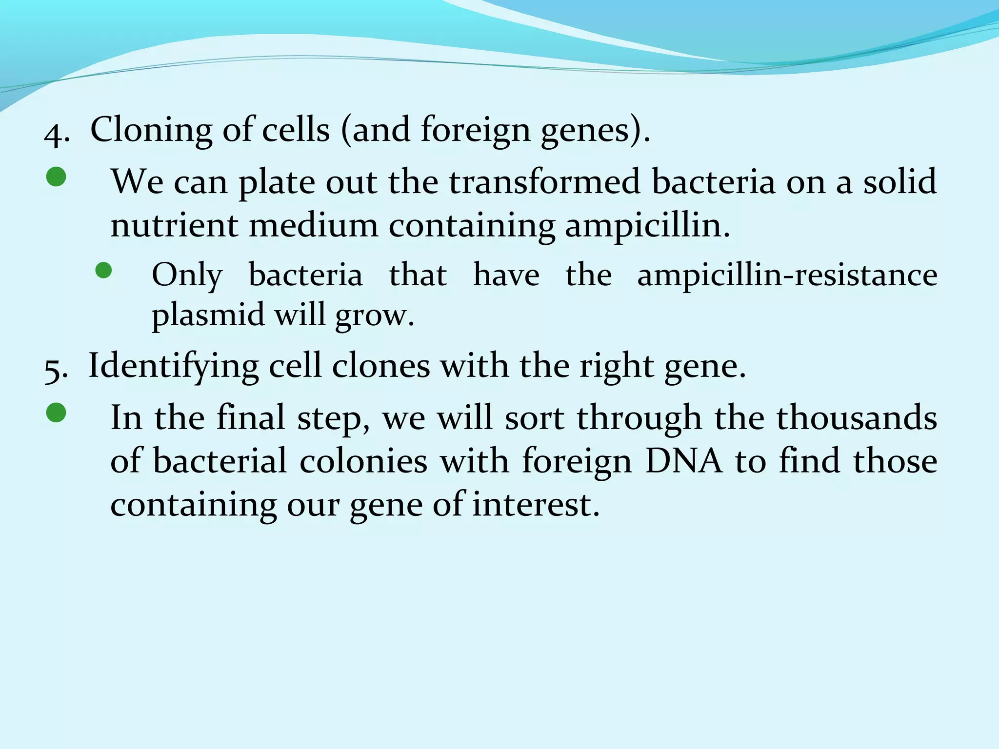 gene cloning principles an technique | PPT