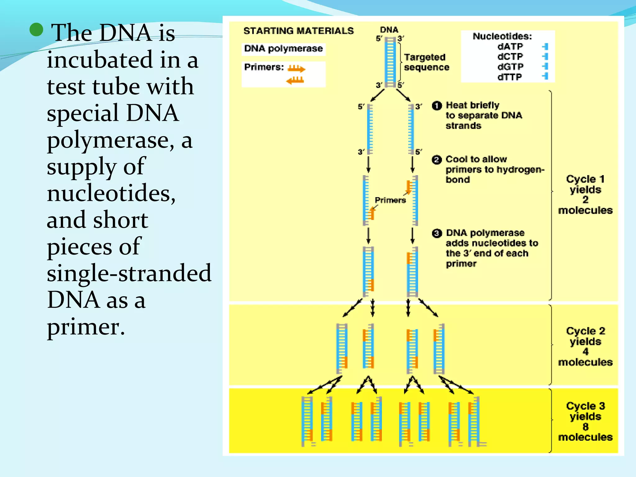 gene cloning principles an technique | PPT