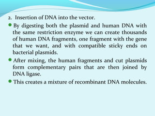 gene cloning principles an technique | PPT