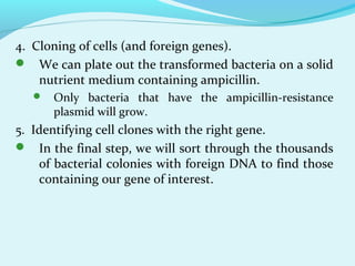 gene cloning principles an technique | PPT