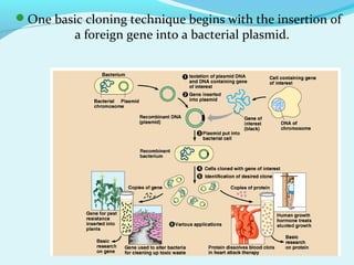 gene cloning principles an technique | PPT