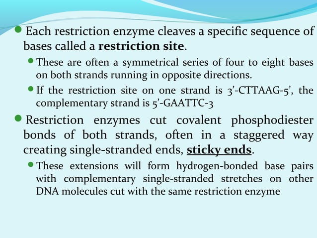 gene cloning principles an technique | PPT