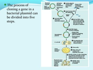 gene cloning principles an technique | PPT