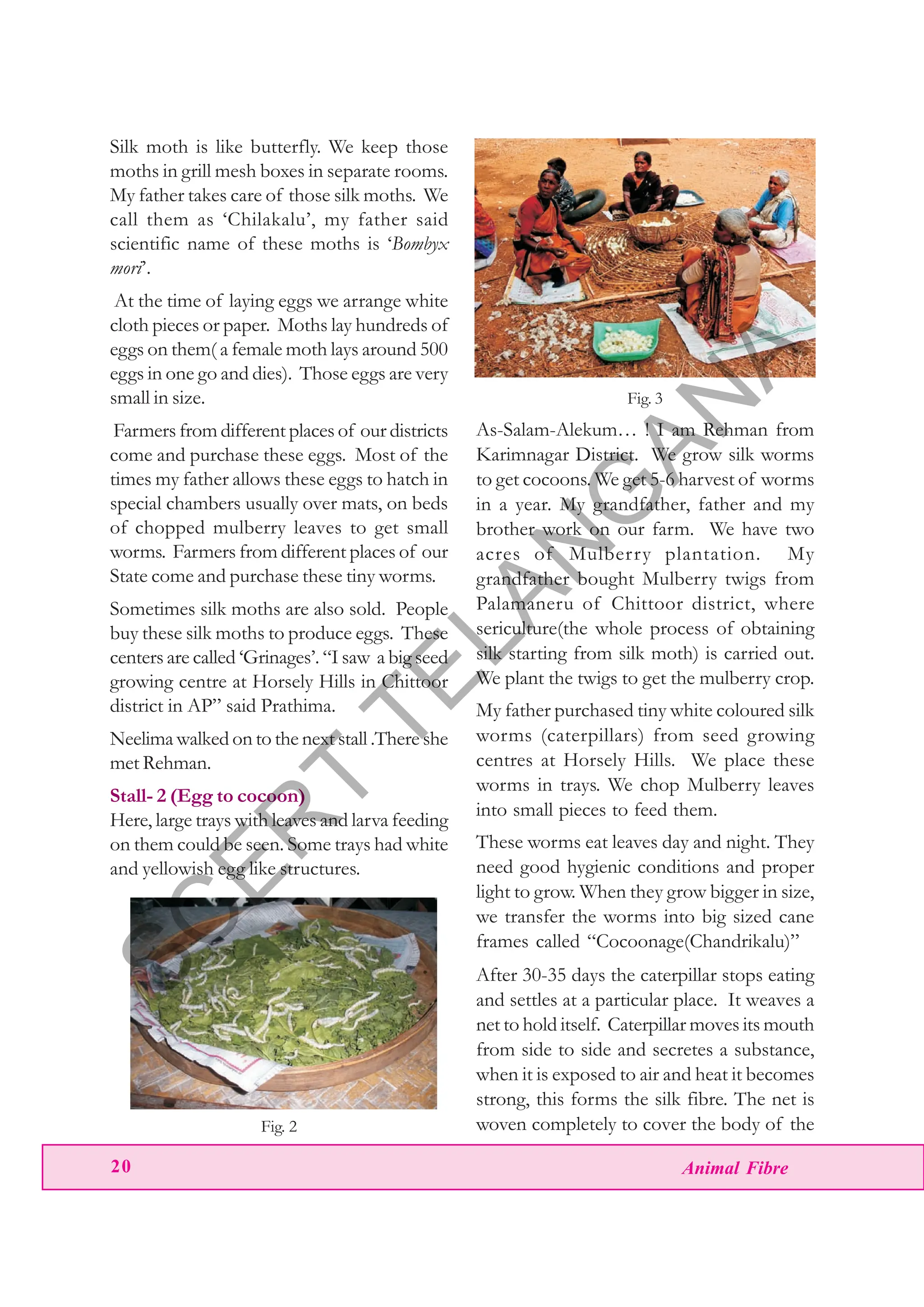 Class 7 general science book 2020-21.pdf