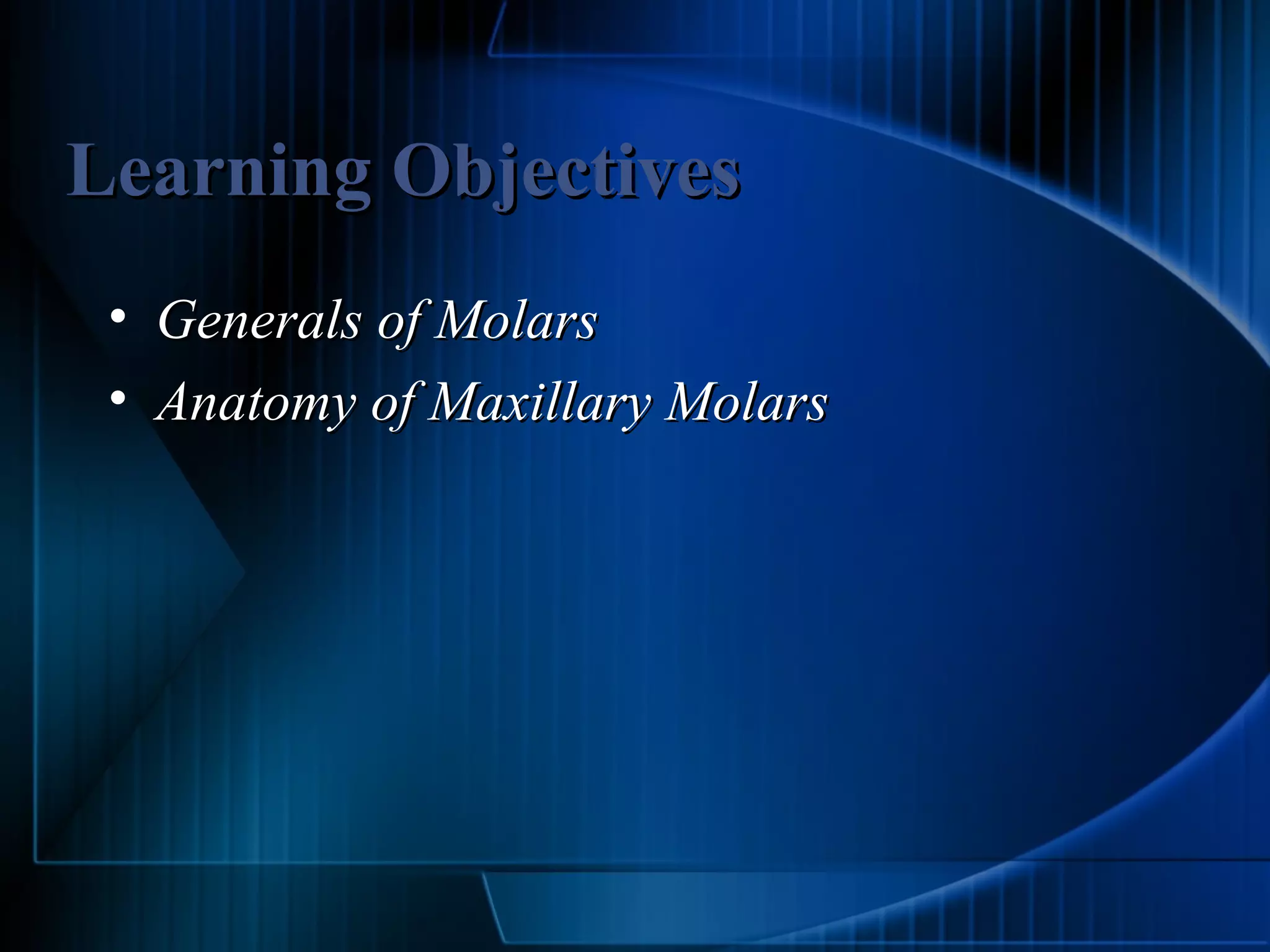 Maxillary Molars | PPT