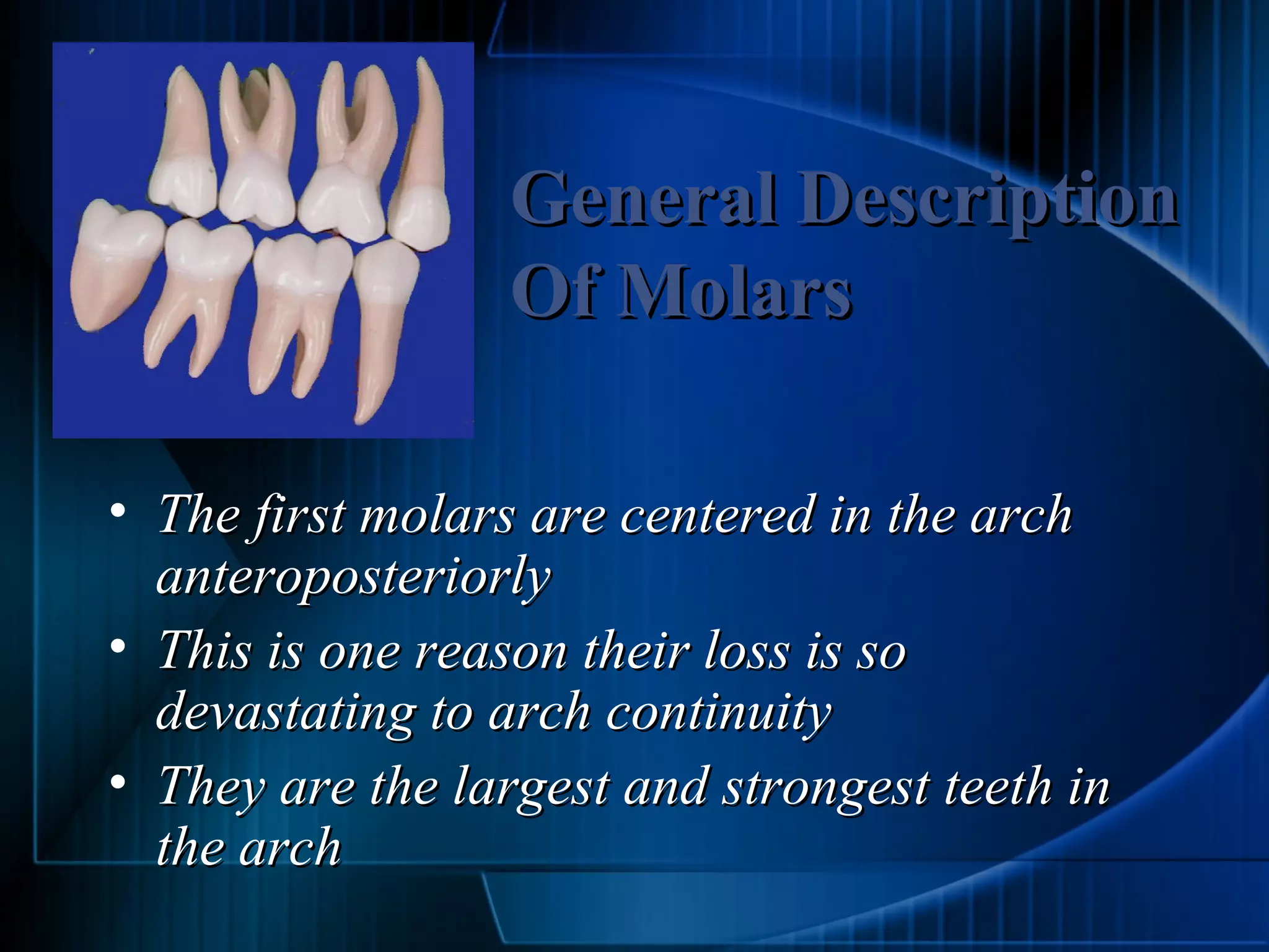 Maxillary Molars | PPT