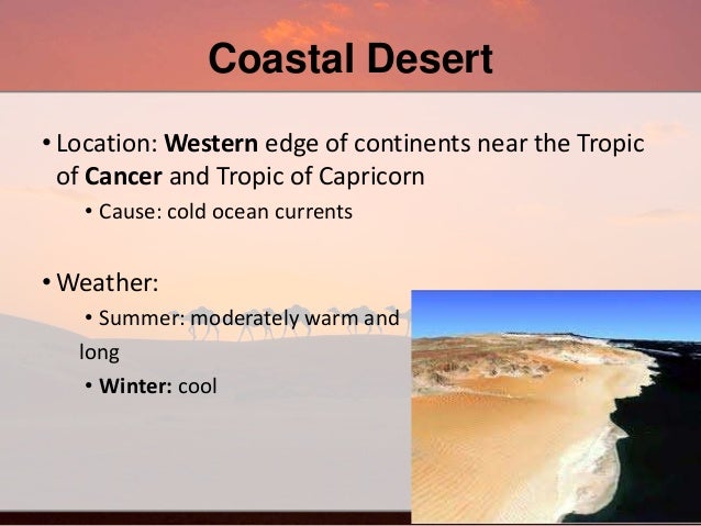 Types Of Coastal Deserts | 12 Types of Deserts: The Definitive Guide ...