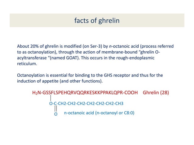 7 Ghrelin signalling.ppt