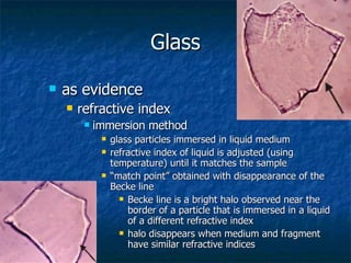 Glass Evidence | PPT