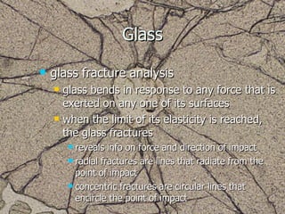 Glass Evidence | PPT