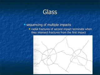 Glass Evidence | PPT