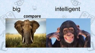 7GRADE-COMPARATIVES AND SUPERLATIVES.pptx